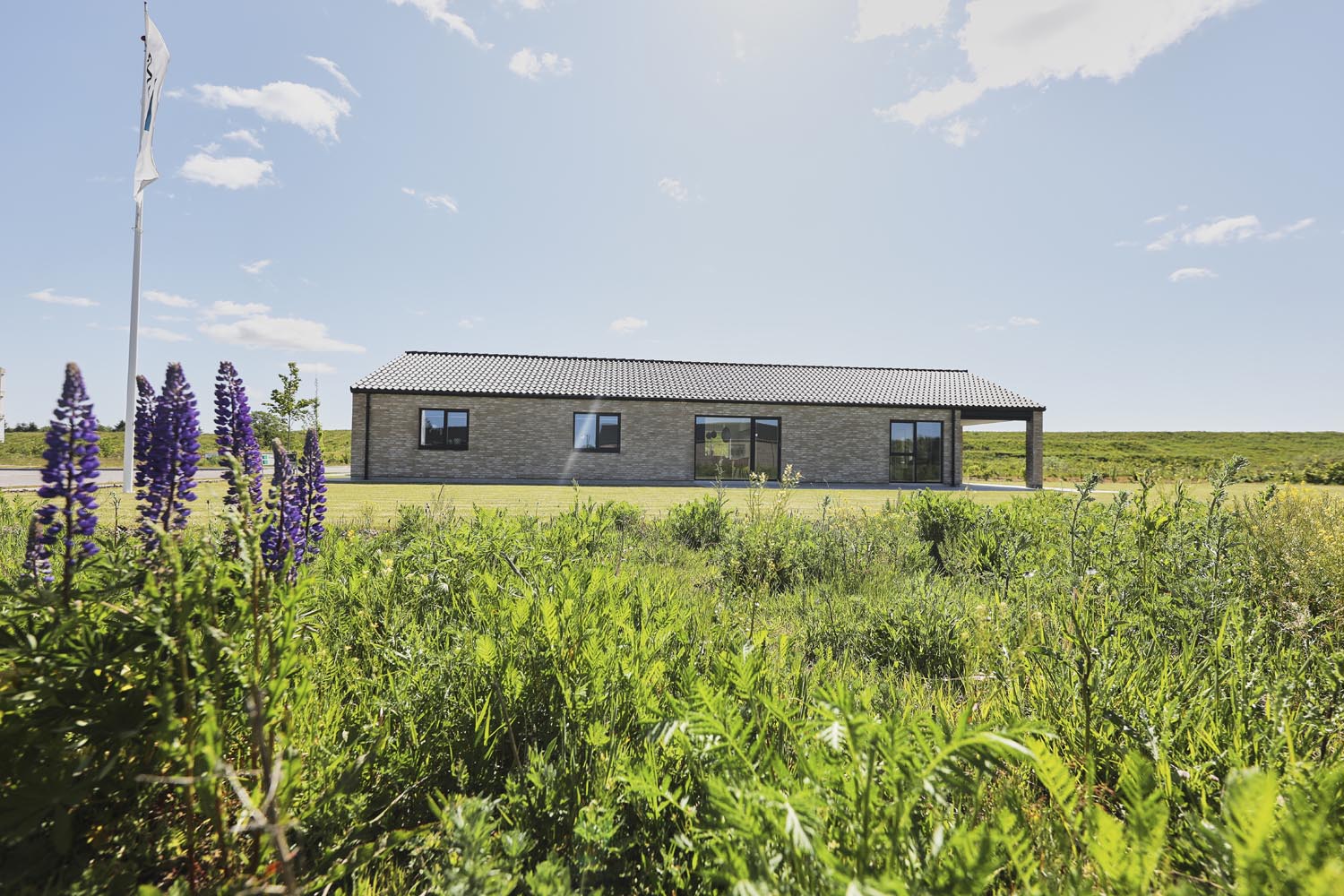 Galleri 16 | Husgalleri | Milton Huse